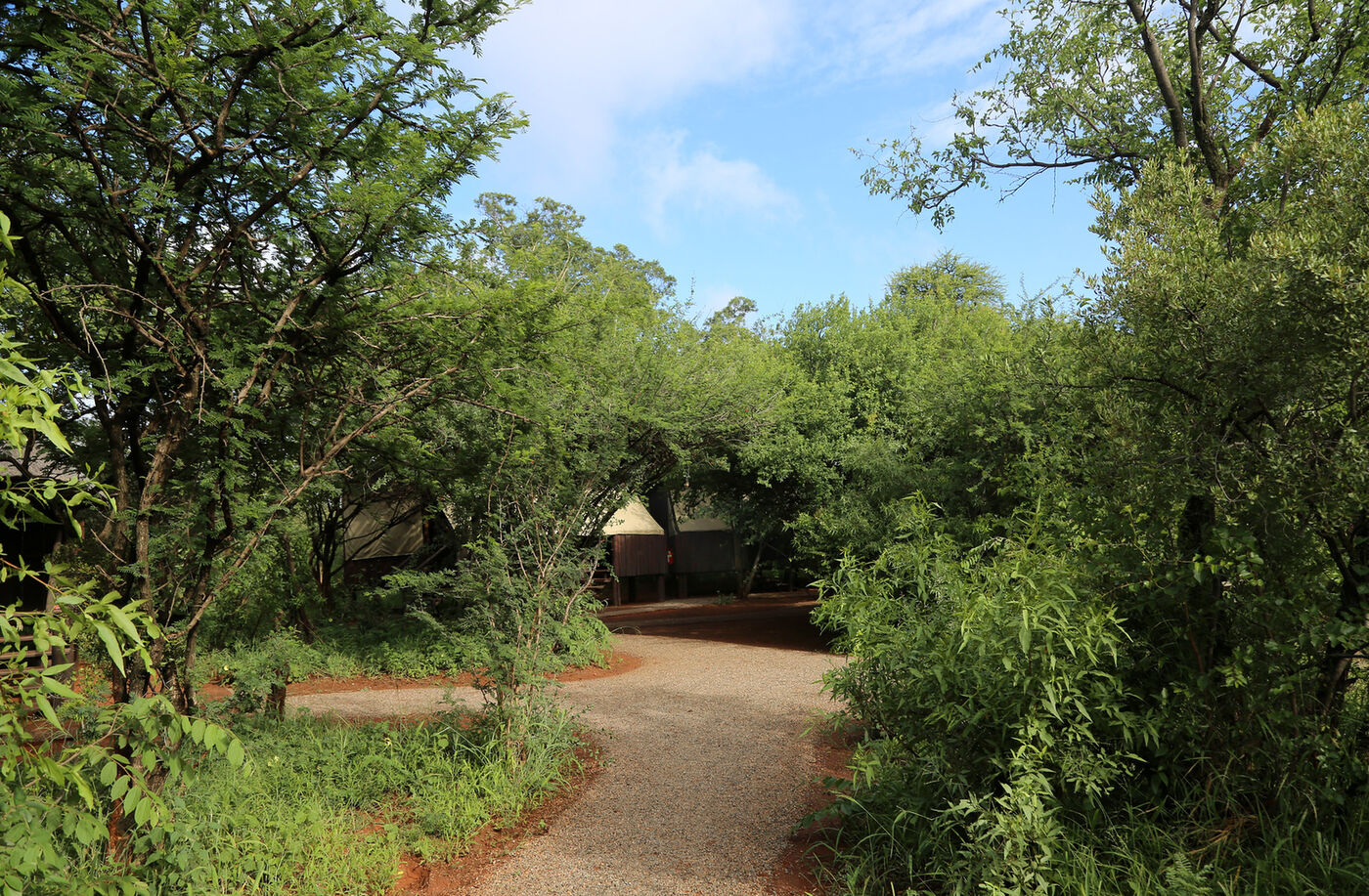 About – Mosetlha Bush Camp & Eco Lodge