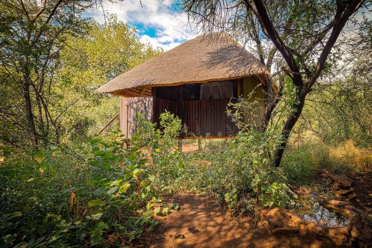 Home – Mosetlha Bush Camp & Eco Lodge