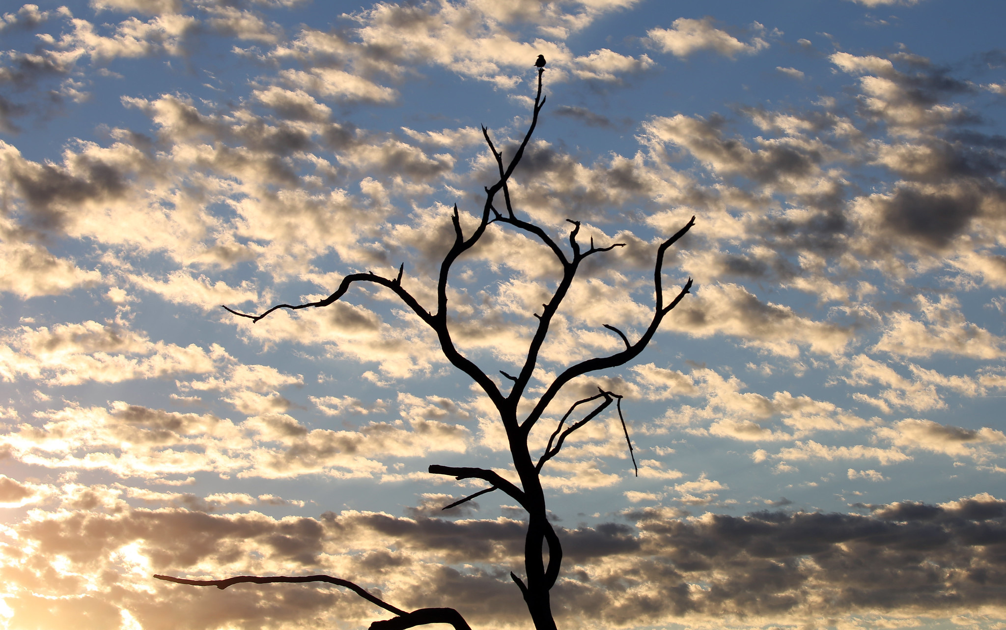 The lodge – Mosetlha Bush Camp & Eco Lodge