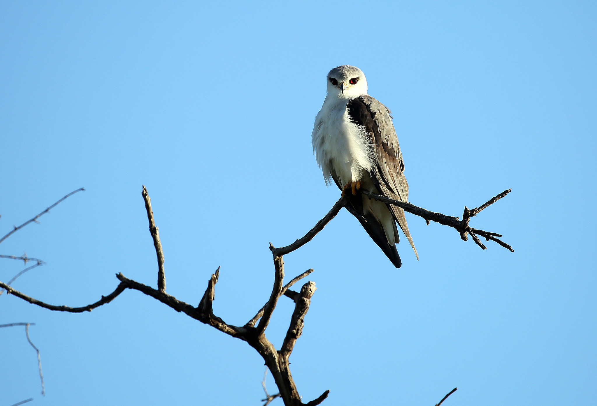 About – Mosetlha Bush Camp & Eco Lodge