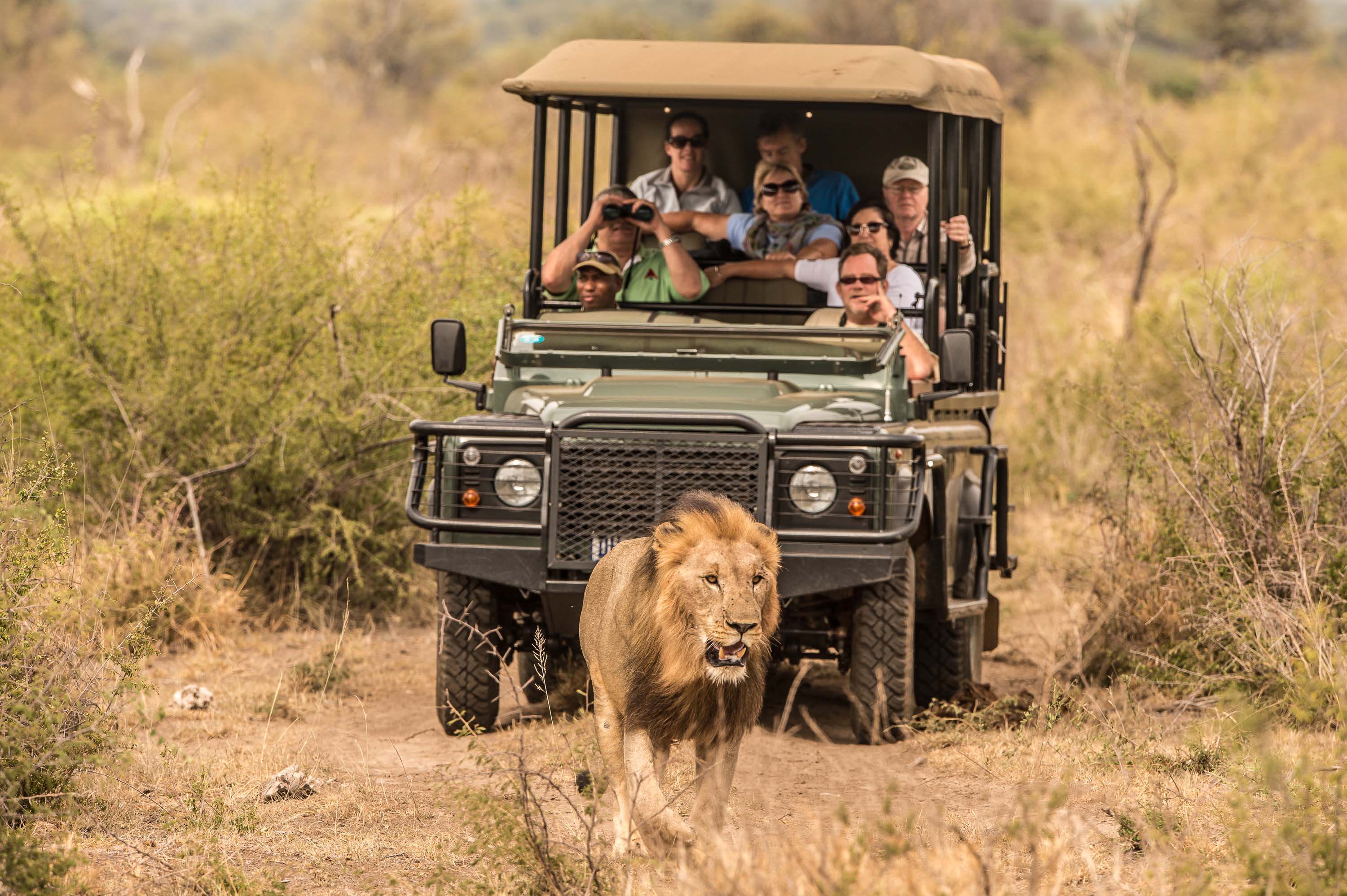Safaris – Mosetlha Bush Camp & Eco Lodge