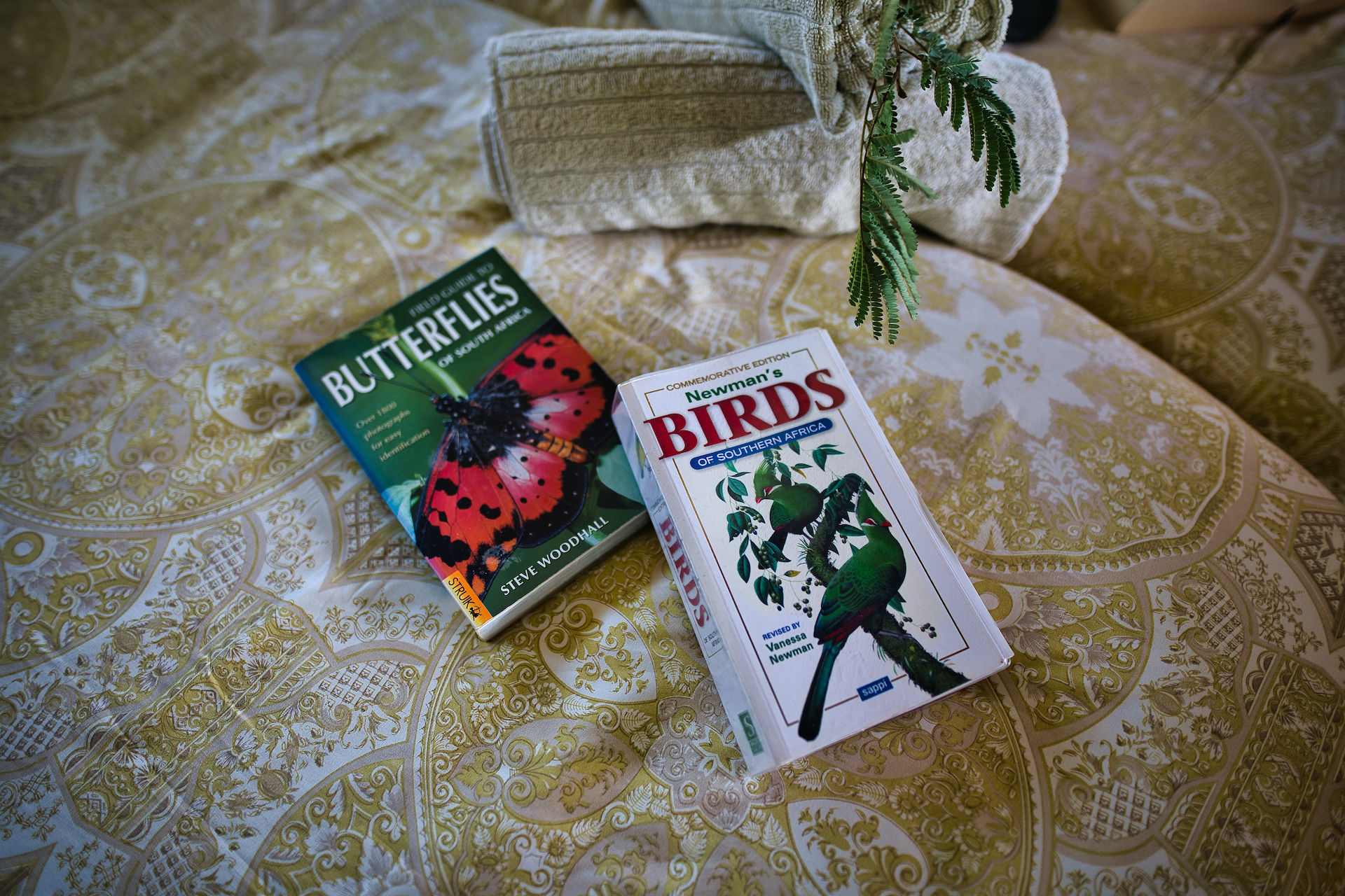 The lodge – Mosetlha Bush Camp & Eco Lodge