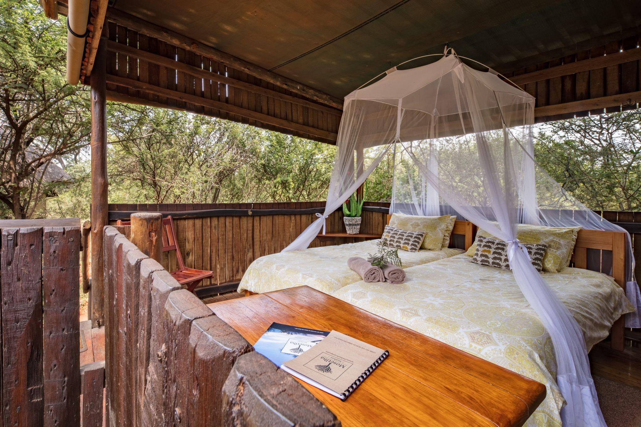 The lodge – Mosetlha Bush Camp & Eco Lodge